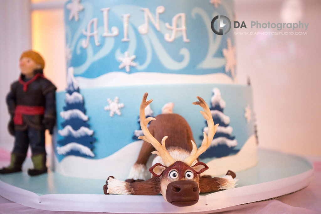 These Fantasy Fables birthday photos prove that dreams really do come ...